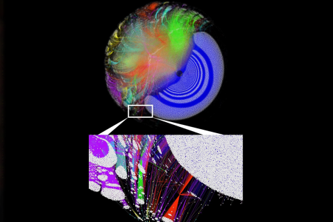 Predicting and Controlling Bad Actor AI Activity in a Year of Global ...