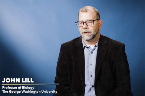 The Ecological Impacts of Cicada Emergences: 3 Questions with John Lill ...