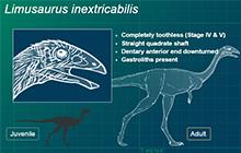 No Teeth? No Problem. Dinosaur Species Had Teeth as Babies, Lost Them ...
